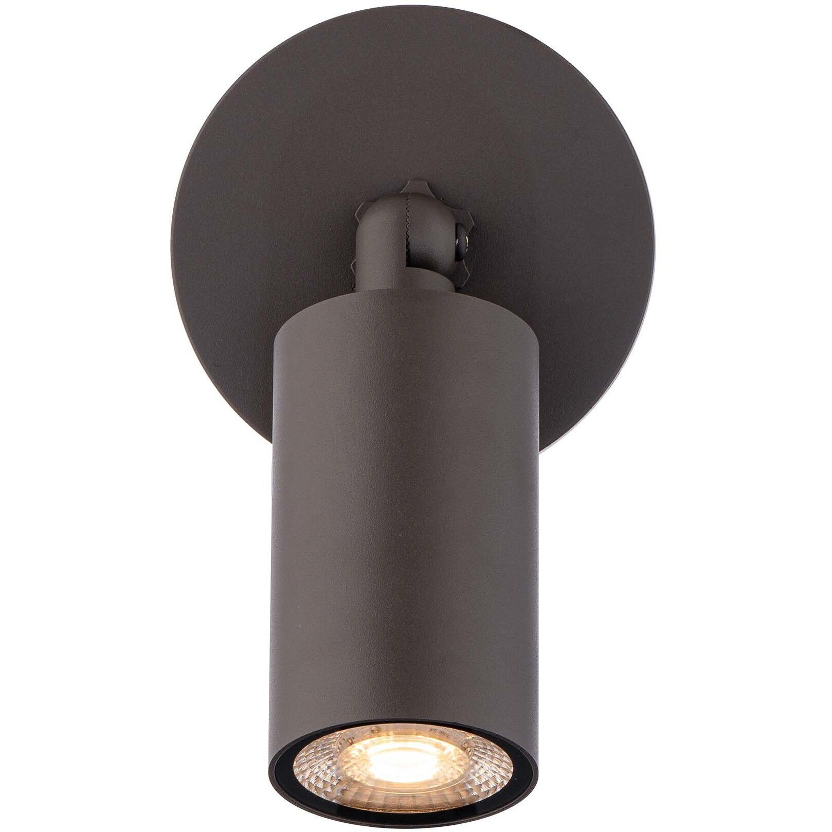 Cylinder Outdoor Wall Light in Bronze