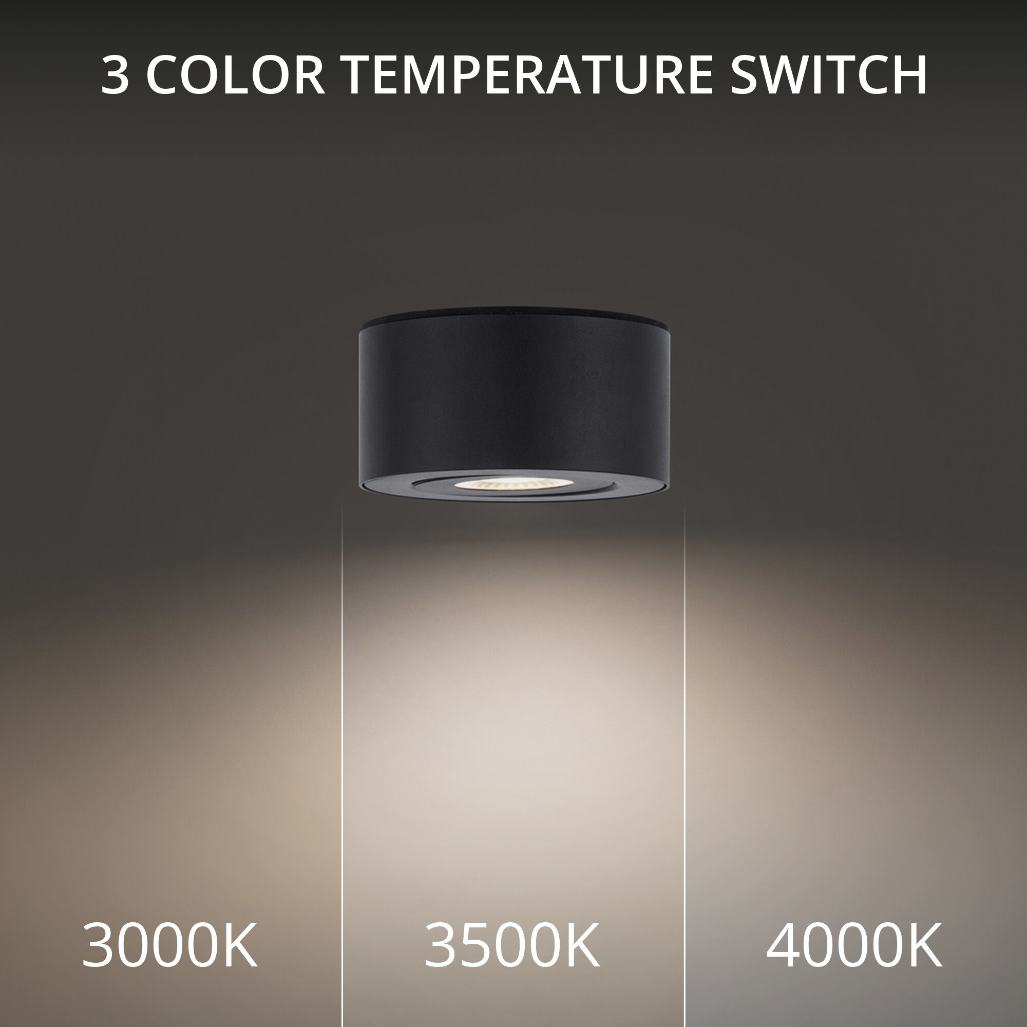 WAC Lighting FM-W45205-30-BK Peek 1 Light 4.88 inch Black Flush Mount ...