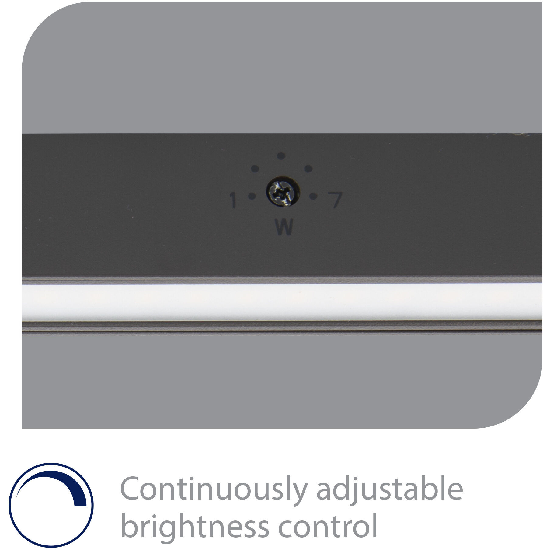 Tyler 12 7 watt Bronze Hardscape Lighting, WAC Landscape