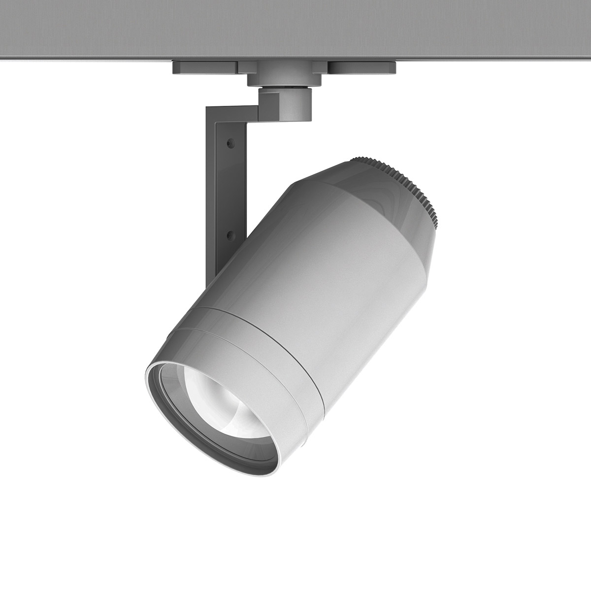 Paloma 1 Light 120 Platinum Track Accessory Ceiling Light in 90, 2700K